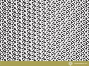 Top 5 Organic Pattern Designs
